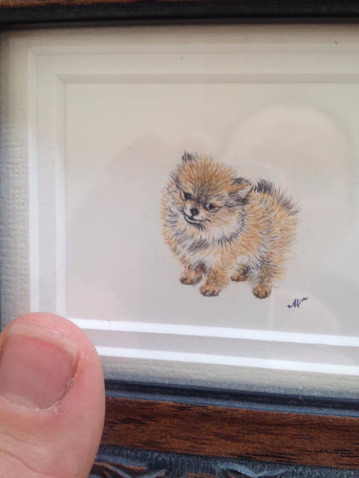Piece of Fluff - av4art.com